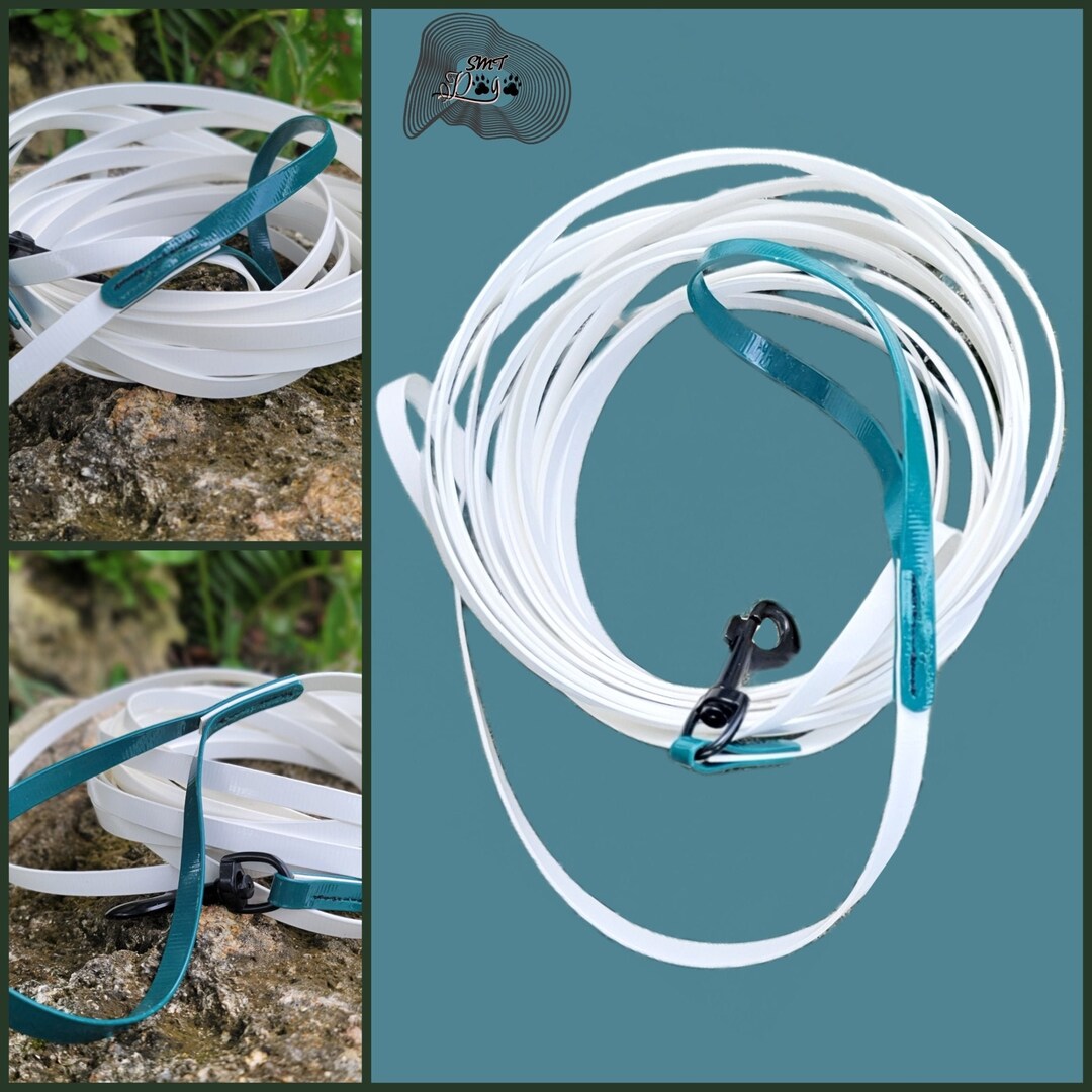 30 Foot Biothane Gold Long Line - Etsy