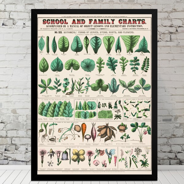 Botanical Poster - Etsy