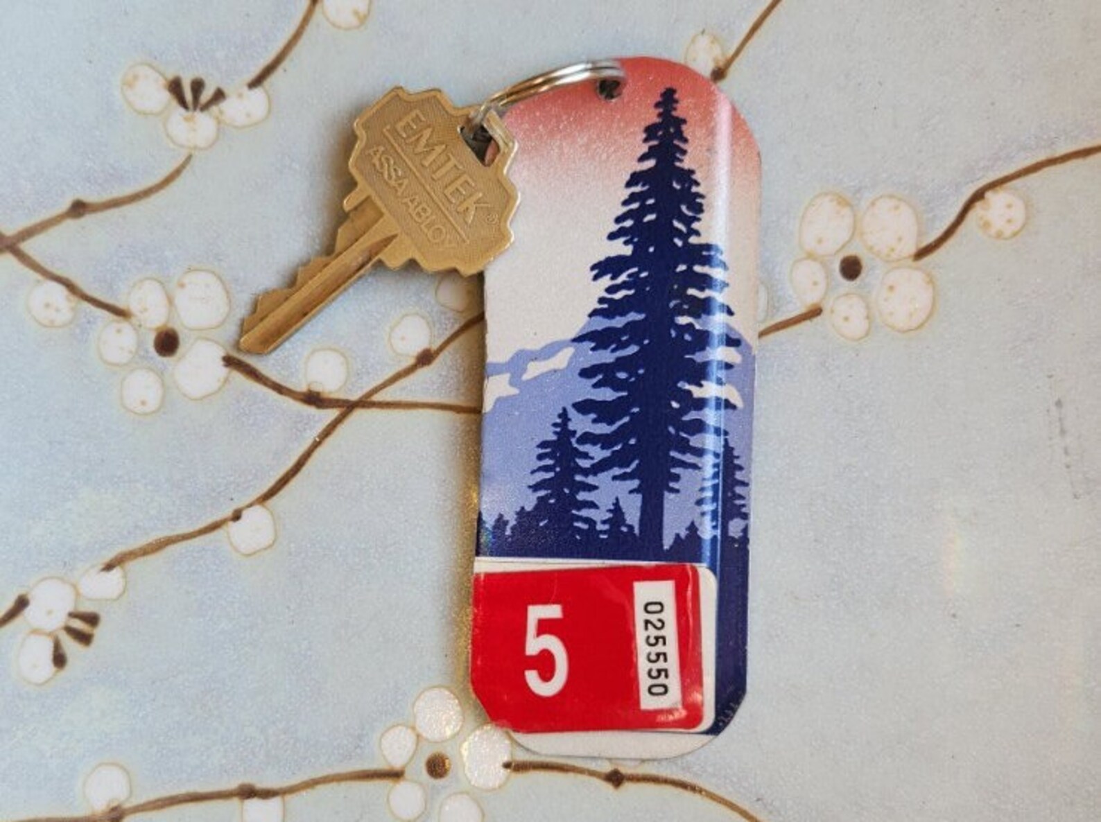 Repurposed License Plate Key Chains, Luggage Tags and Backpacks ...