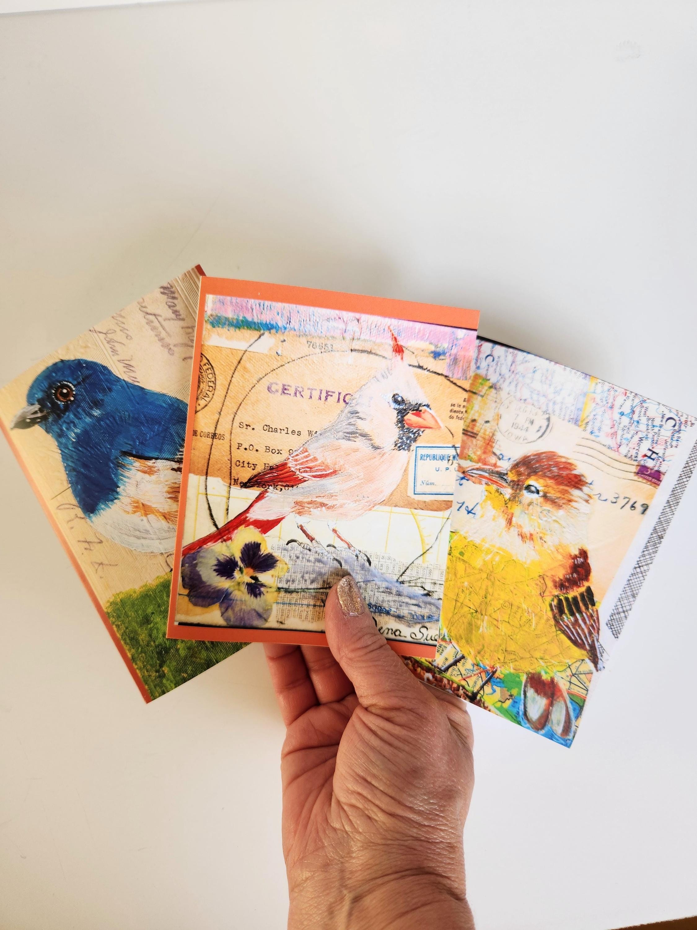 Bird Notecards, Prints of Birds on Vintage Postcards Blank Inside - Etsy