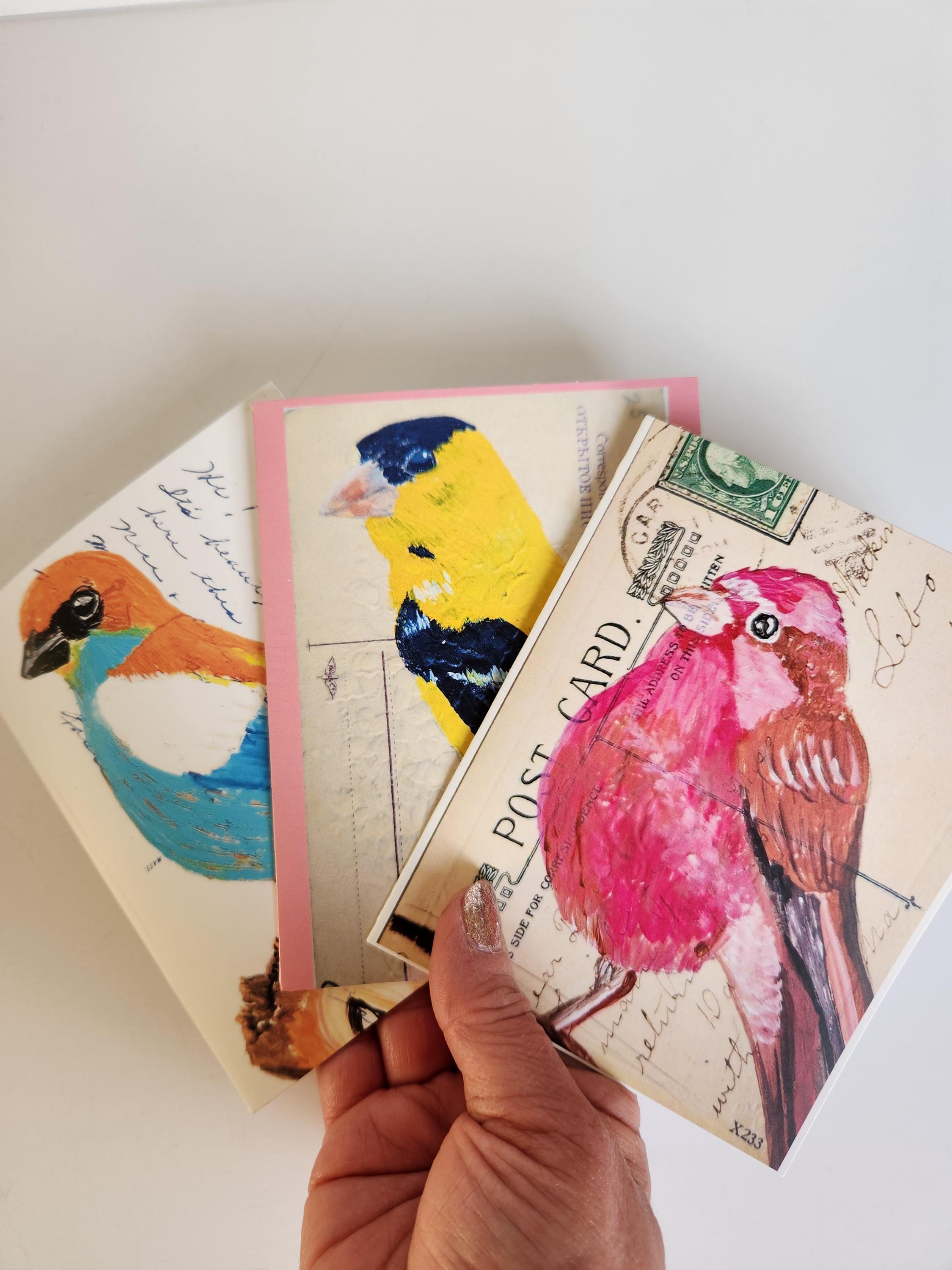 Bird Notecards, Prints of Birds on Vintage Postcards Blank Inside - Etsy