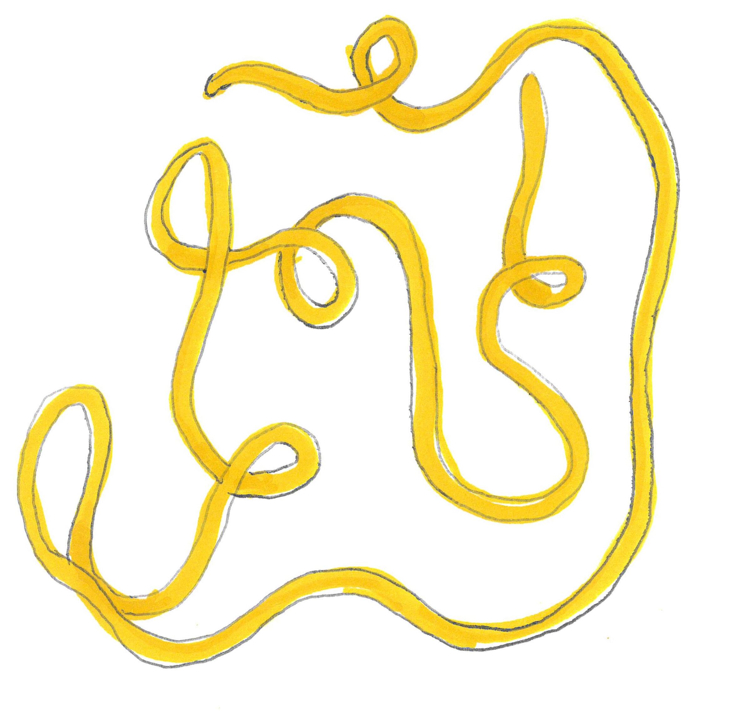 Pasta Noodle Hand Drawn Clipart - Etsy