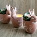 Bunny Terracotta Planters Set of 3 - Etsy