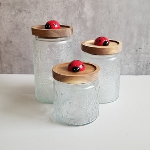 Ladybug Glass Canister Set of 3 - Etsy