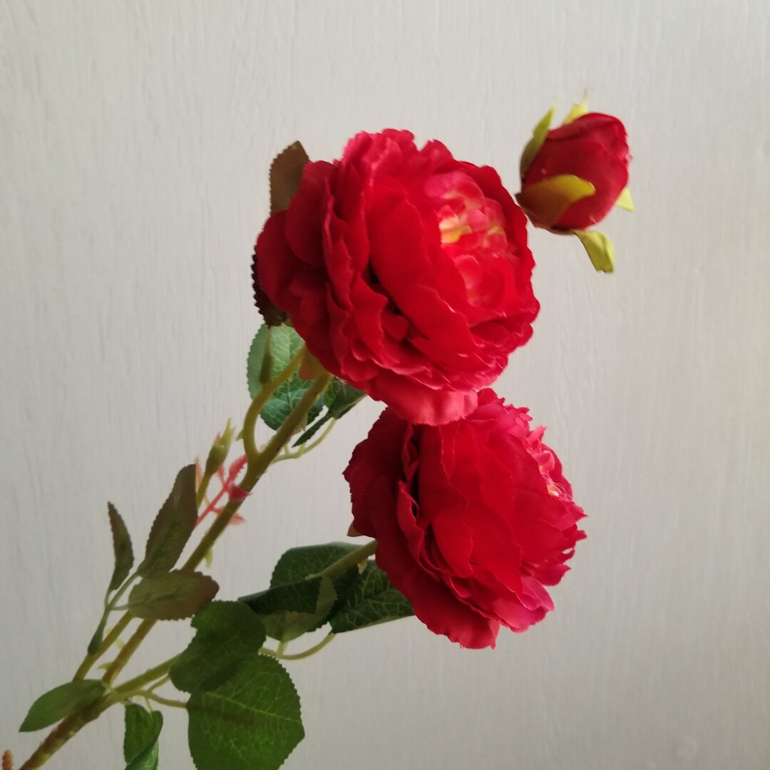 3-head Scarlet Cottage Rose Spray - Etsy