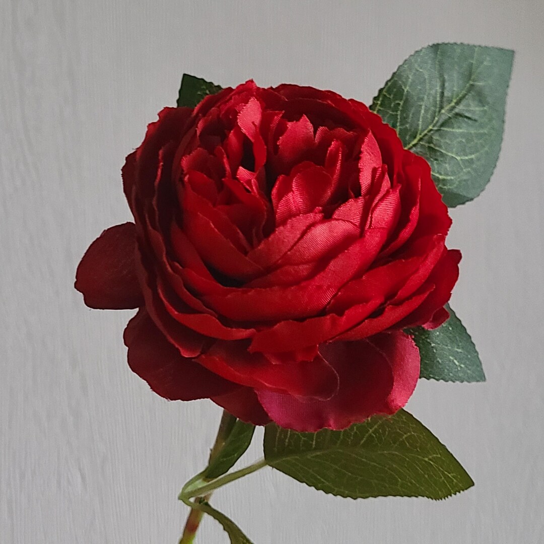 Dark Red Cabbage Peony Artificial Stem - Etsy