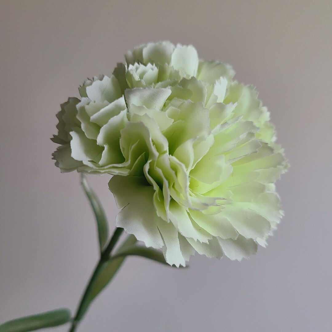 Lime-kissed French Carnation Artificial Stem - Etsy