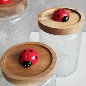 Ladybug Glass Canister Set of 3 - Etsy