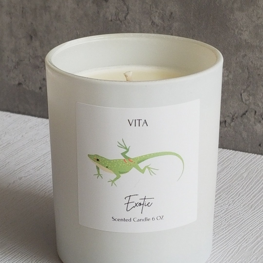 Exotic by Vita Scented 6 OZ Candle - Etsy