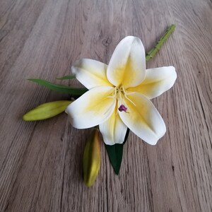 Single Bloom Yellow Fade Day Lily - Etsy
