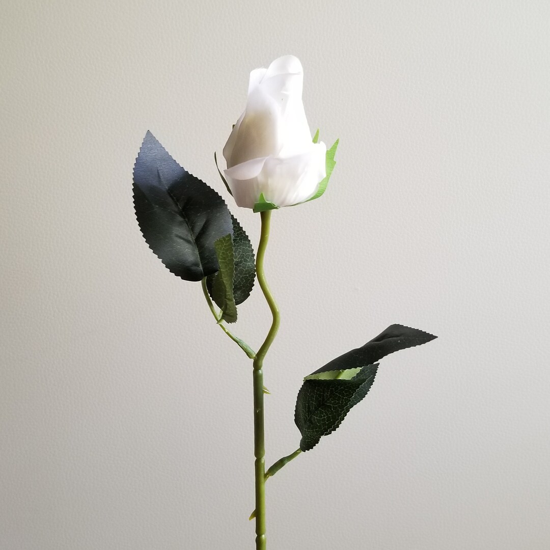 White Long-stemmed Rose - Etsy