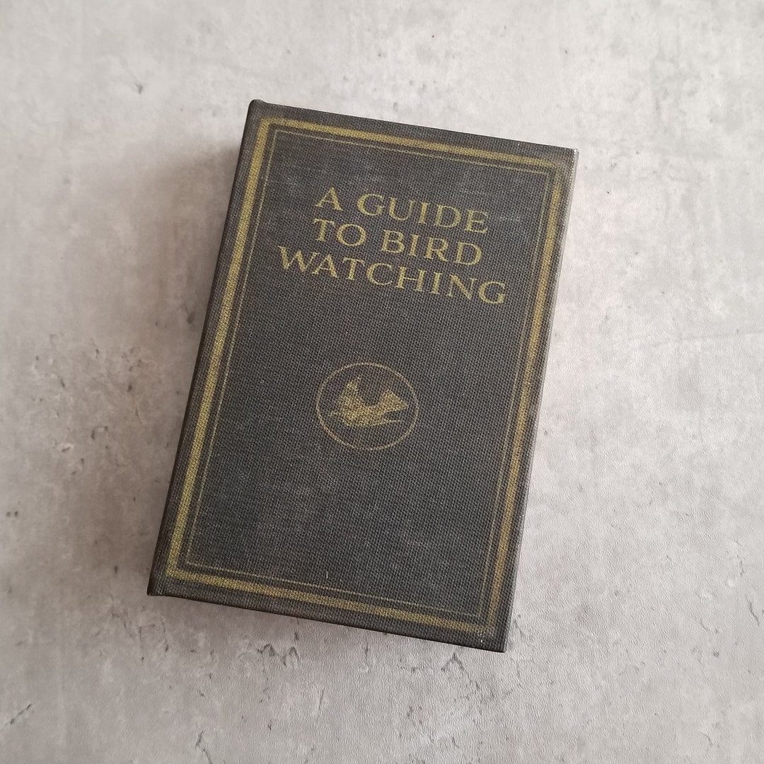 A Guide to Bird Watching Book Box - Etsy