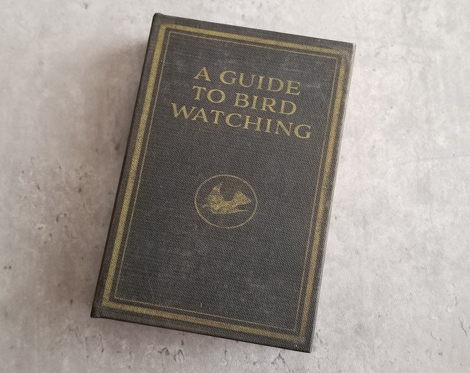 A Guide to Bird Watching Book Box - Etsy