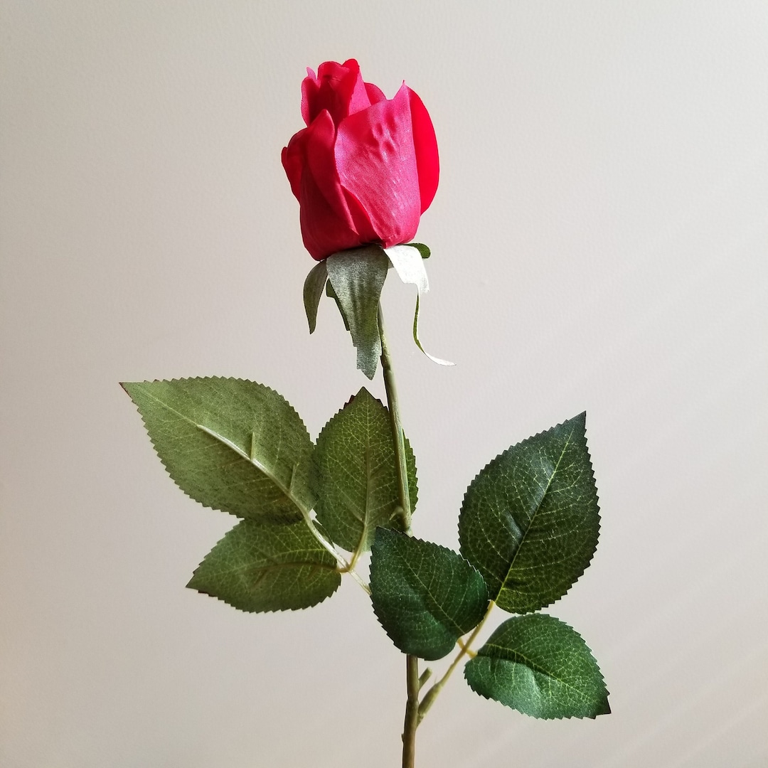Royal Red Long-stemmed Rose - Etsy