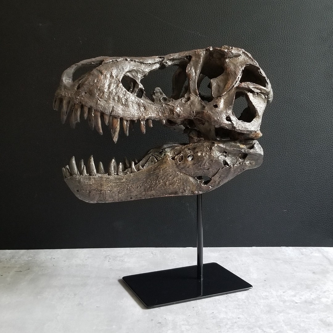 T-rex Stone Resin Specimen Art - Etsy