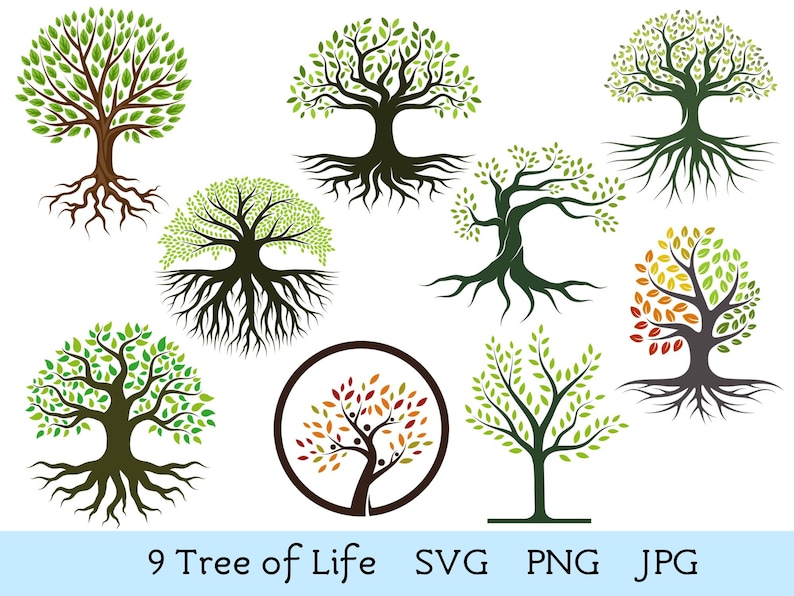 Arbre de vie svg arbre de vie svg bundle arbre généalogique - Etsy France