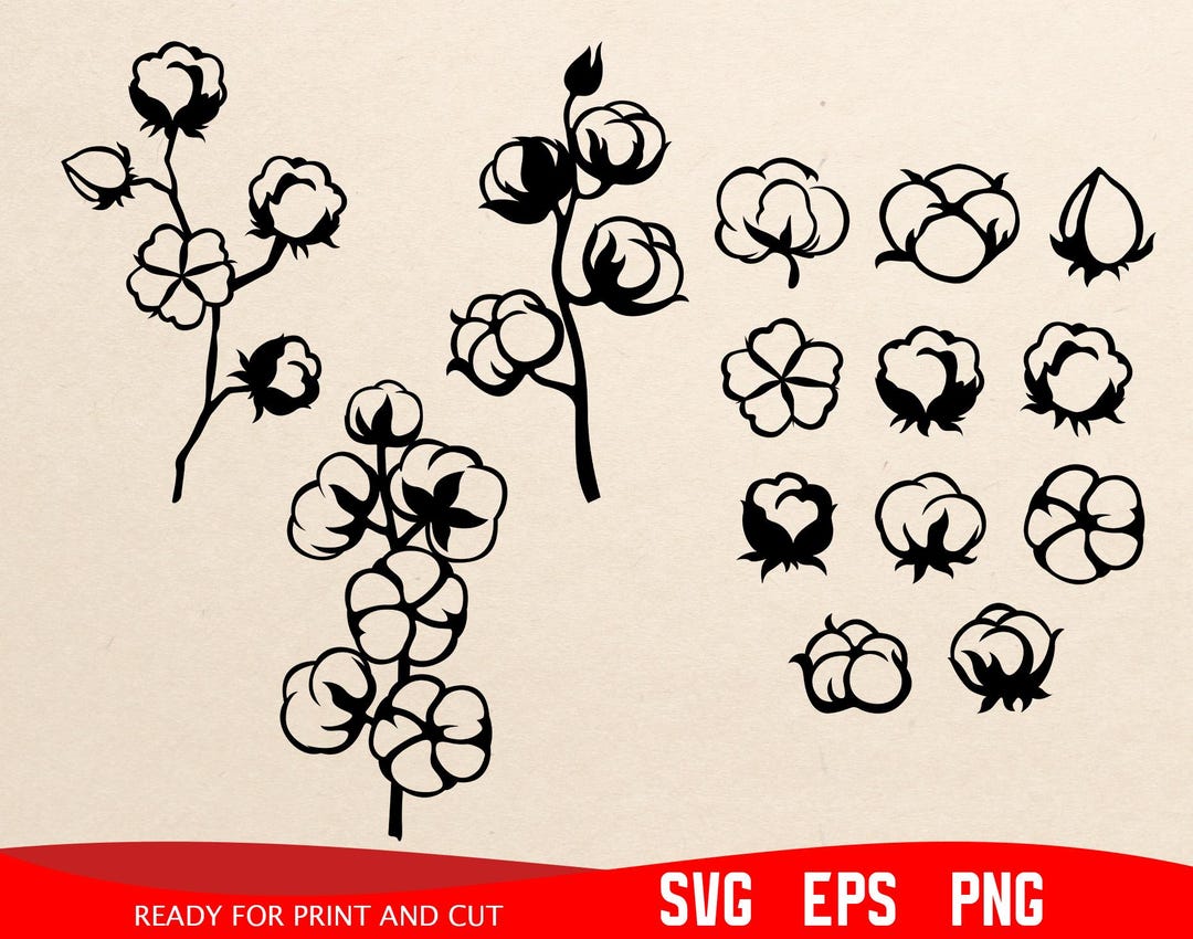 Cotton Svg Eps Png, Cotton SVG Files for Cricut, Cotton Silhouette Svg ...