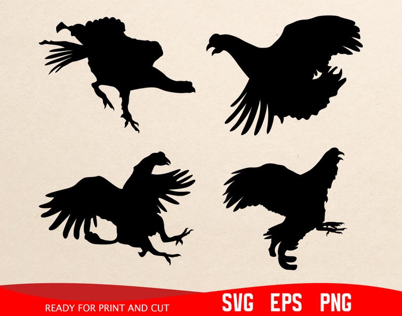 Black Grouse SVG Bundle, Black Grouse Svg Eps Png, Vector, Black Grouse ...