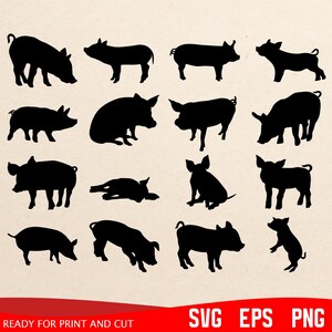 Pig SVG Bundle, Pig Svg Eps, Pig Png, Pig Vector, Pig Cut Files, Pig ...