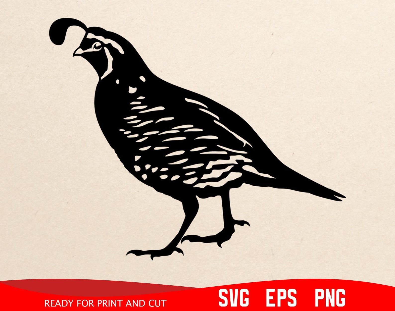 Quail SVG Bundle, Quail Svg Eps, Quail Png, Quail Vector, Quail Cut ...