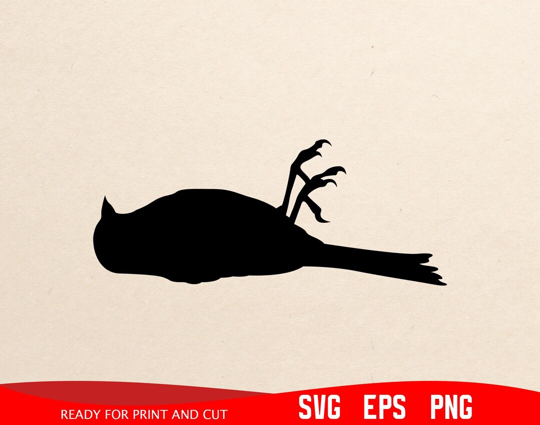 Bird Svg, Cricut File - Etsy
