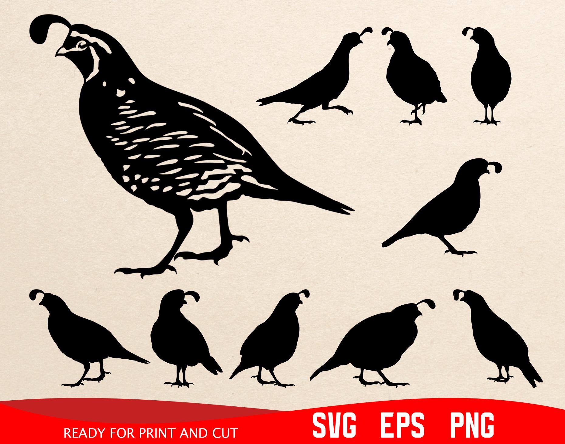 Quail SVG Bundle, Quail Svg Eps, Quail Png, Quail Vector, Quail Cut ...