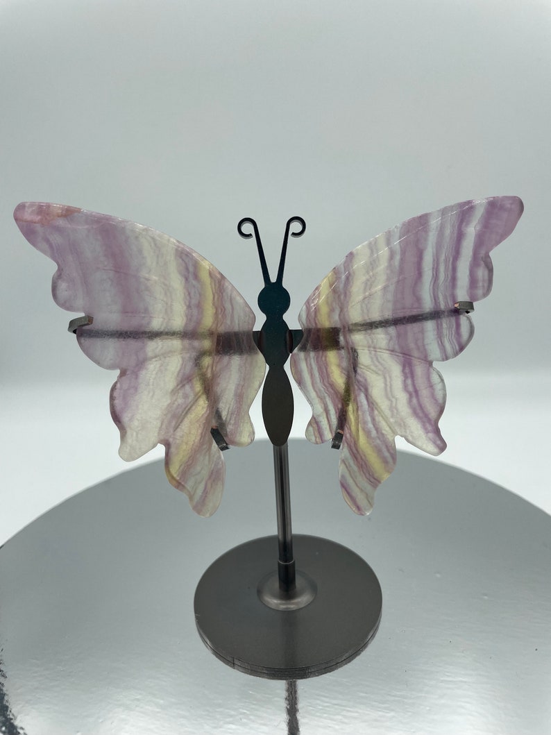 Butterfly Wing With Stands - Etsy