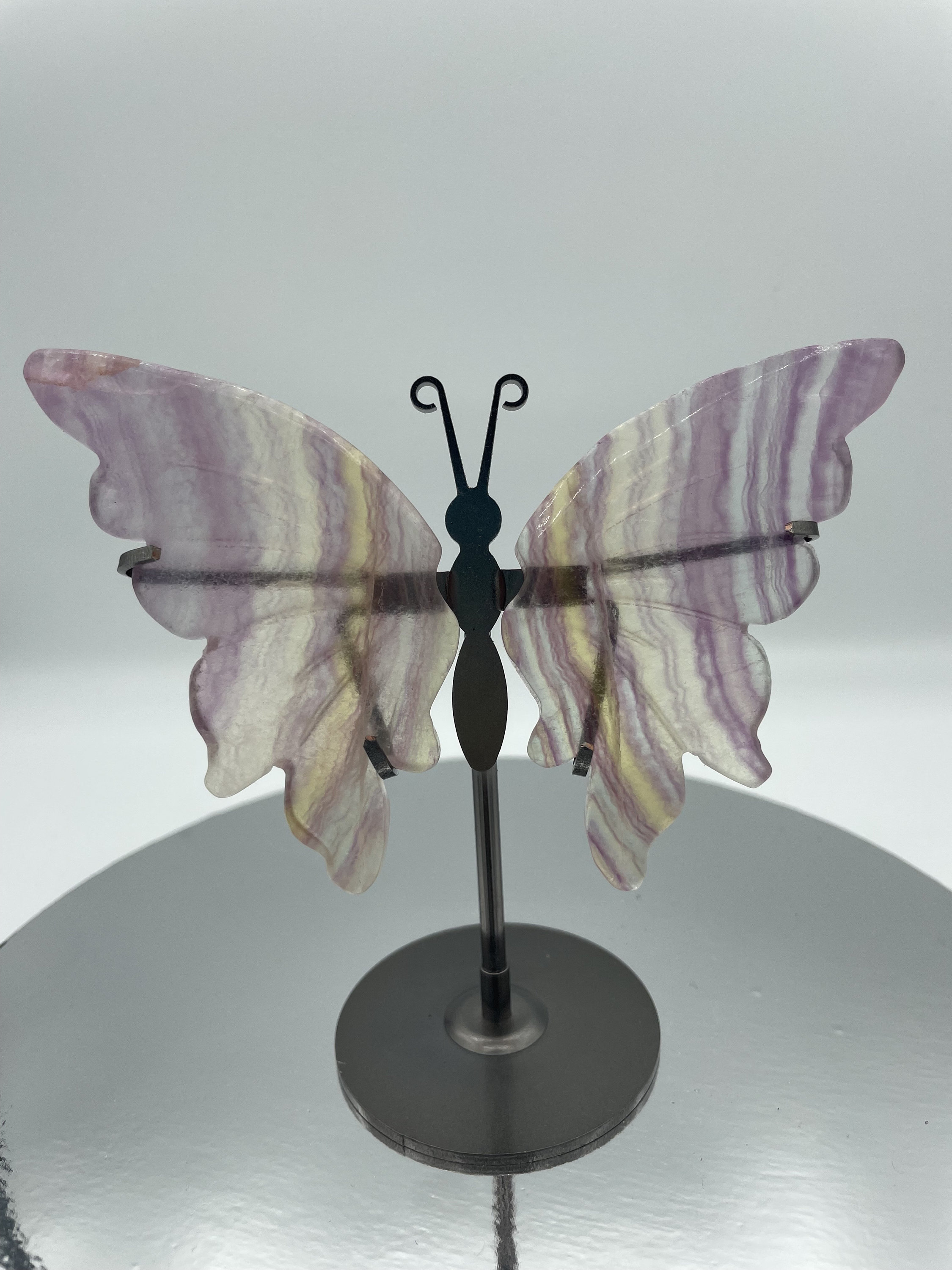 Butterfly Wing With Stands - Etsy