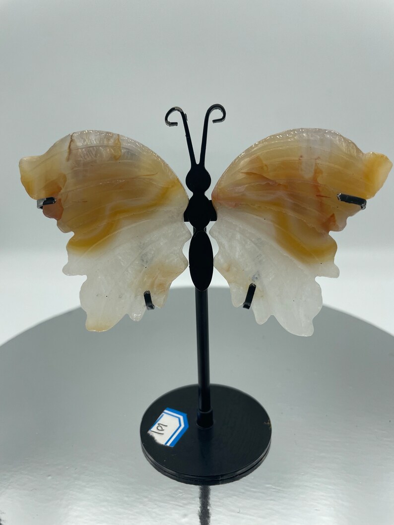 Butterfly Wing With Stands - Etsy