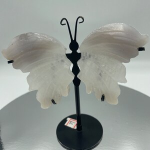 Butterfly Wing With Stands - Etsy