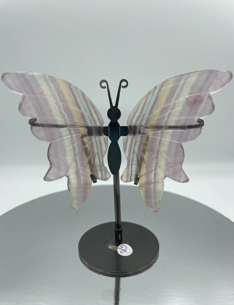 Butterfly Wing With Stands - Etsy