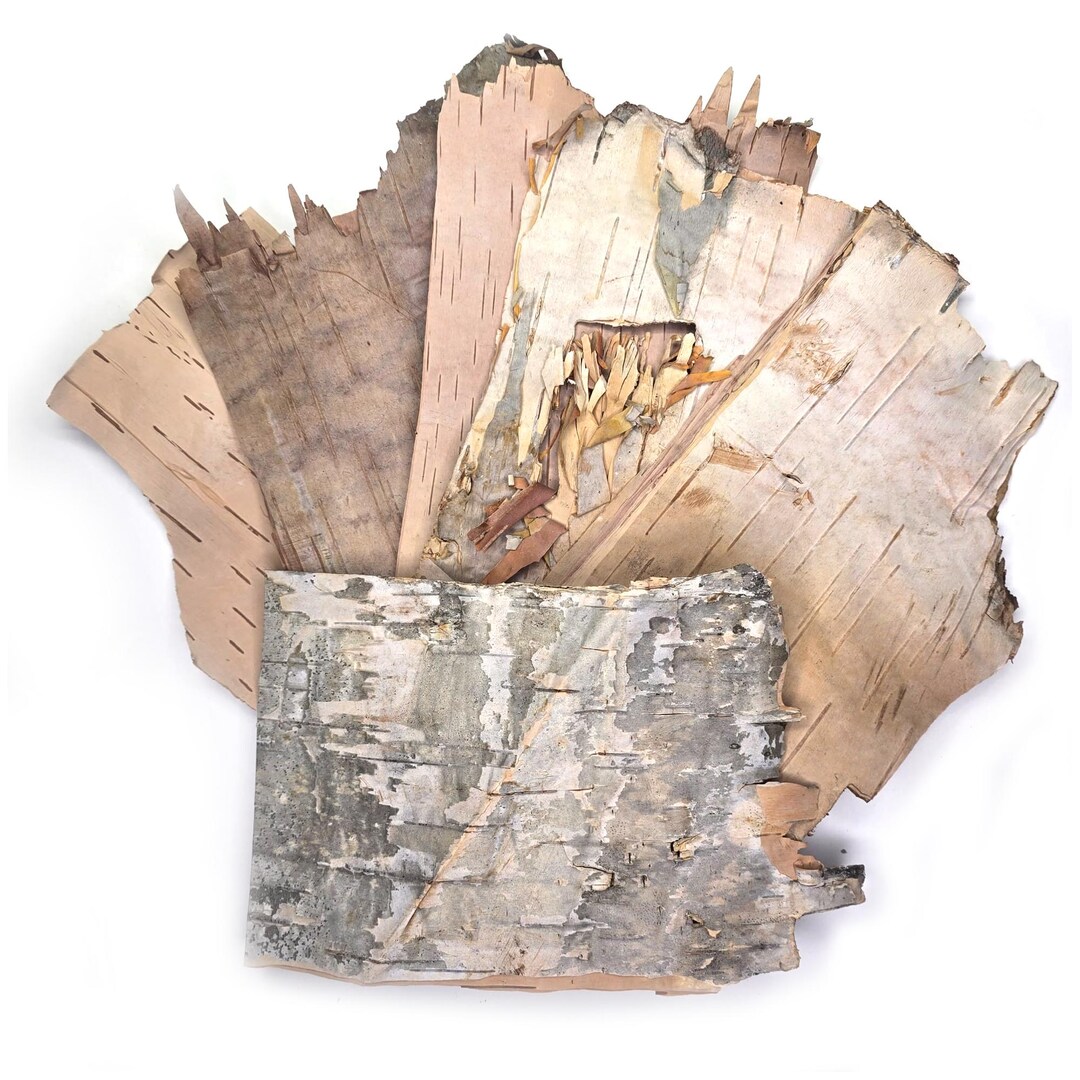 Natural Birch Tree Bark for Crafting, DIY Projects, and Rustic Home ...