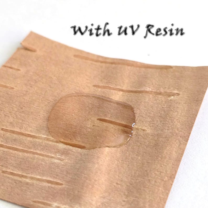 Square Sheet, Natural Canadian Birch Tree Bark for Crafting, Resin ...