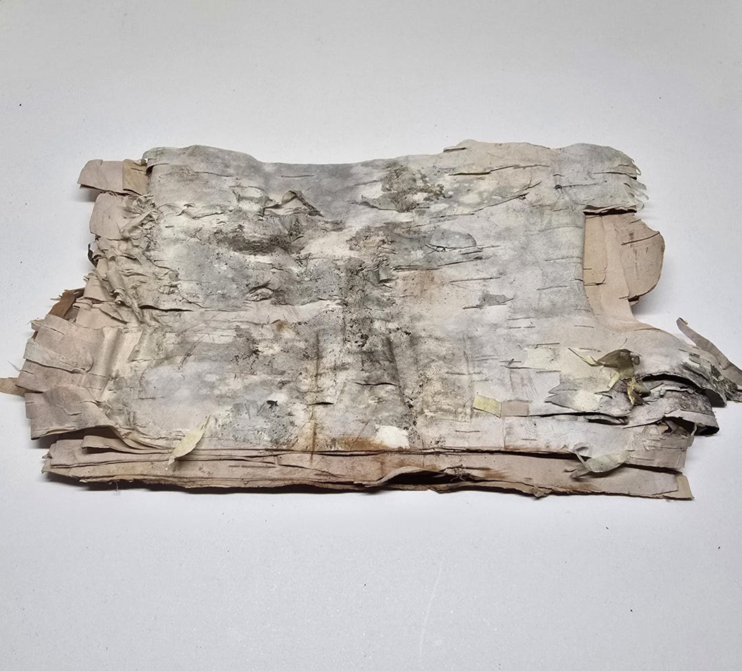 Natural Birch Tree Bark for Crafting, DIY Projects, and Rustic Home ...