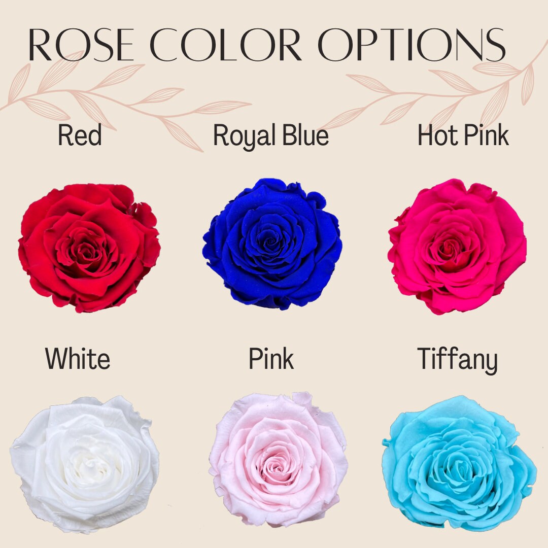 Pink Preserved Rose in Box Forever Rose Engagement Gift - Etsy