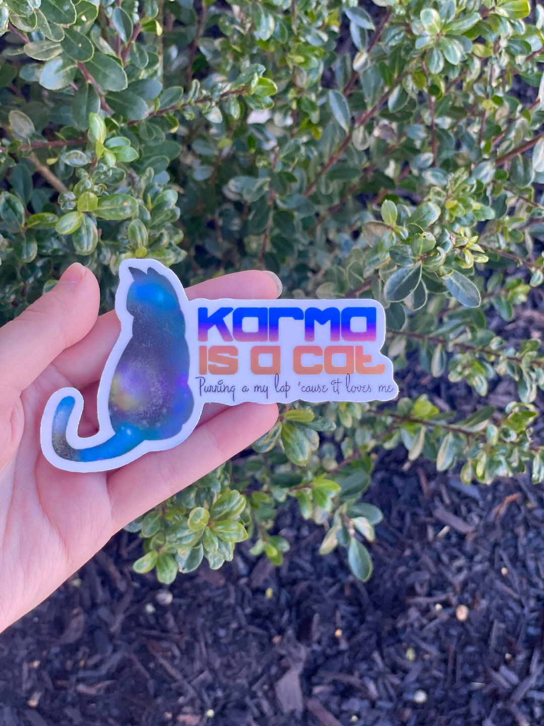 Taylor Swift Karma Sticker - Etsy