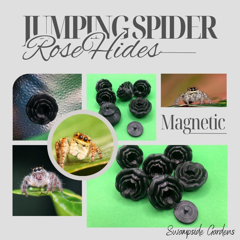Jumping Spider Rose Flower Magnetic Hide, Flower Cave, Enclosure Décor ...