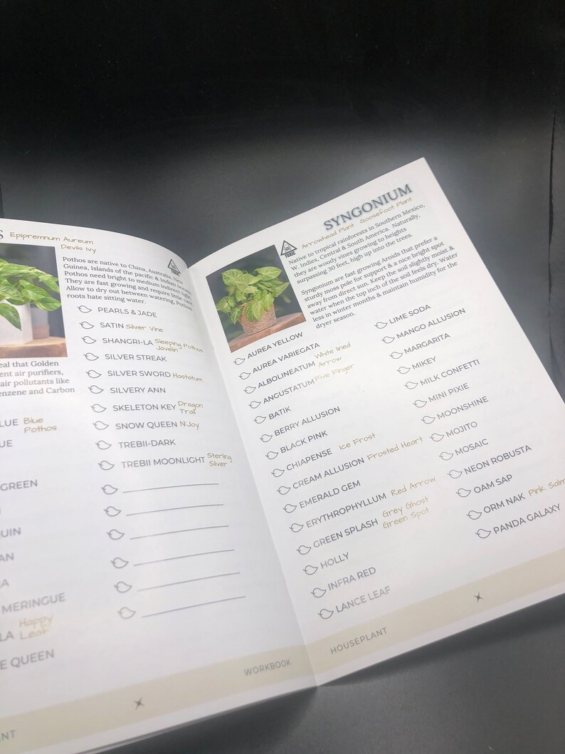 Houseplant Workbook, Syngonium, Monstera, Plant Collection Book - Etsy