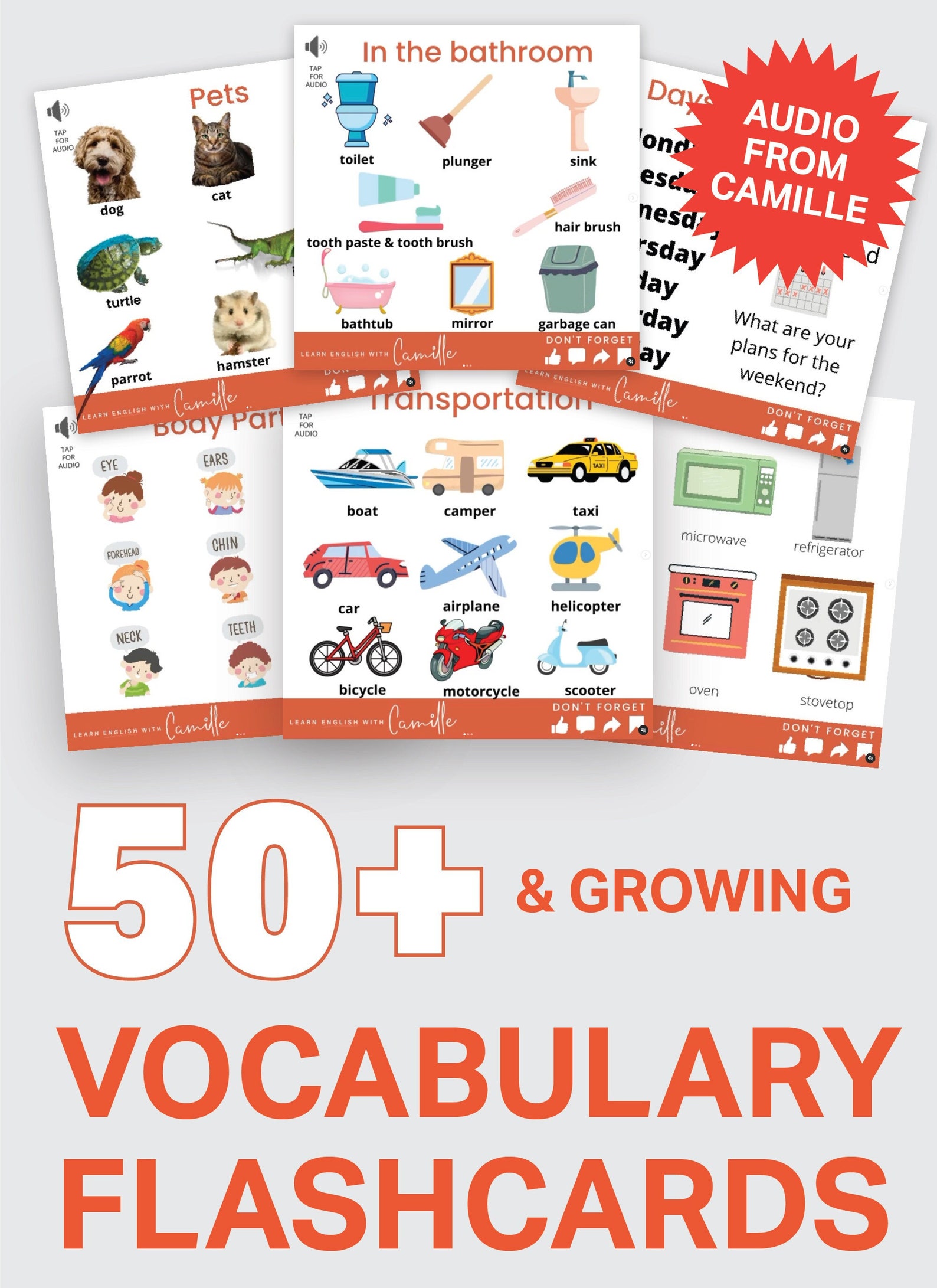 50 English Vocabulary Flashcard Pack With Images Audio Learn American ...