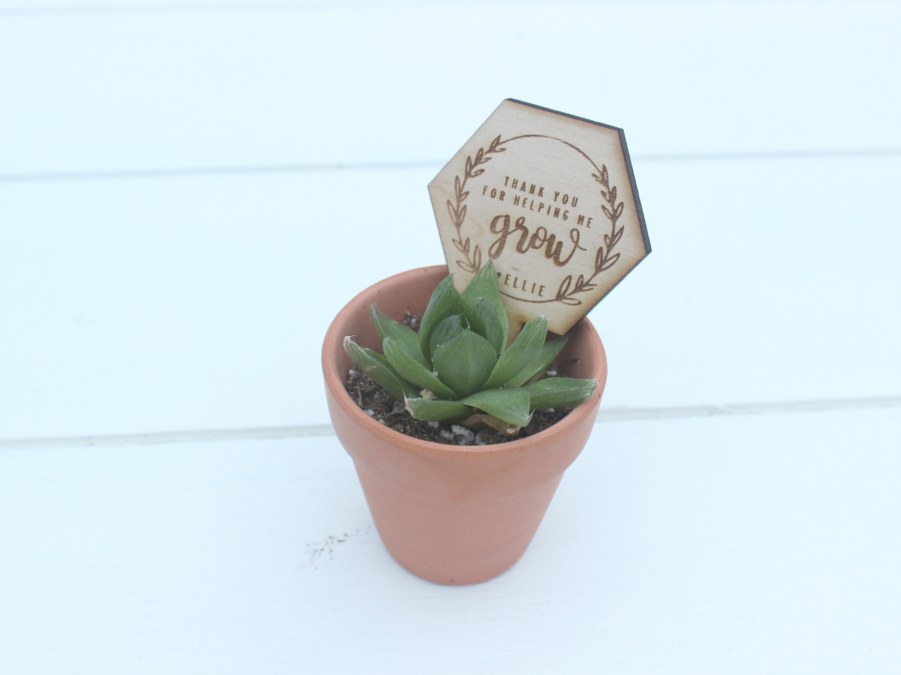 Succulent Tags Custom Teacher Gift Succulent Sticks Plant Favors End of ...