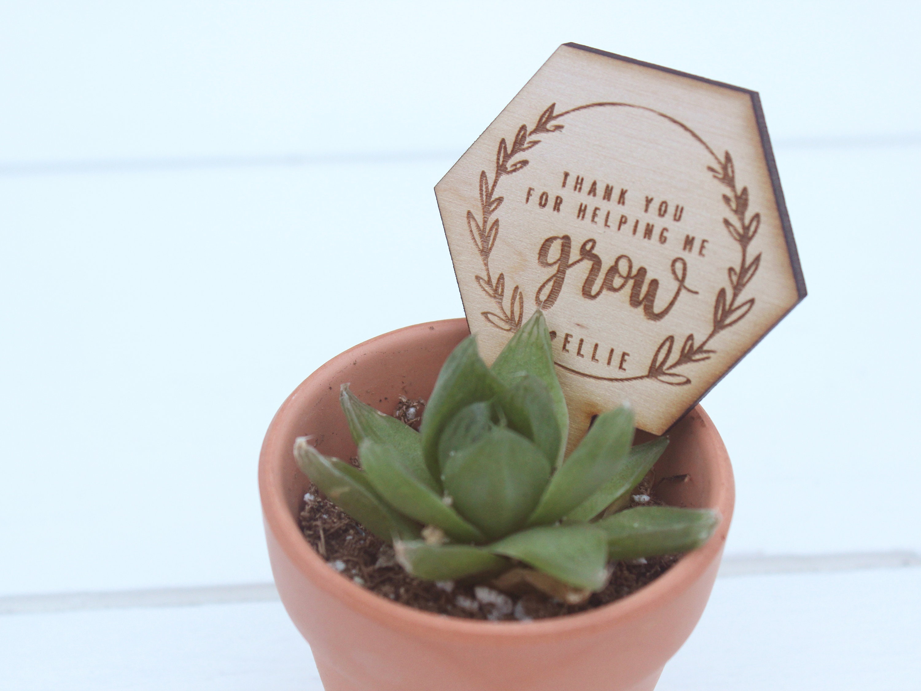 Succulent Tags Custom Teacher Gift Succulent Sticks Plant Favors End of ...