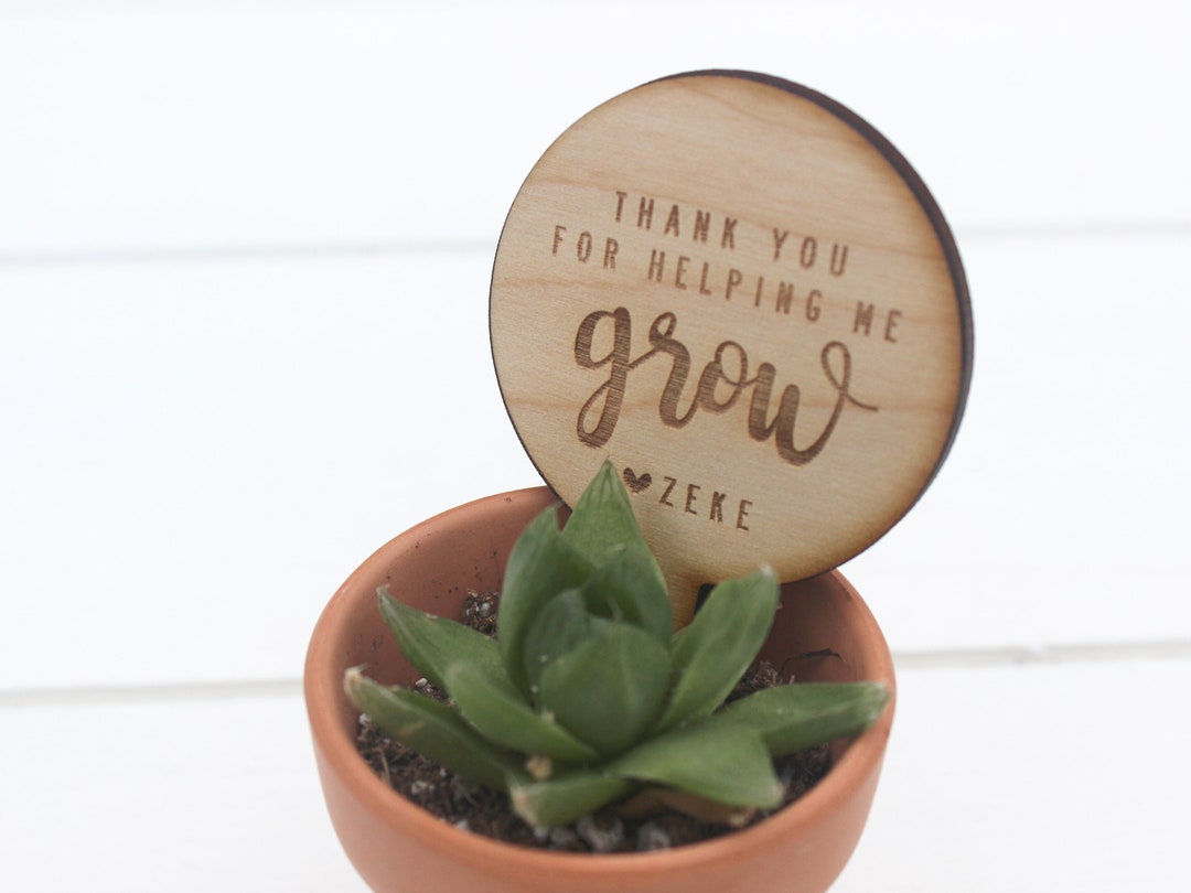 Succulent Tags Custom Teacher Gift Succulent Sticks Plant Favors End of ...