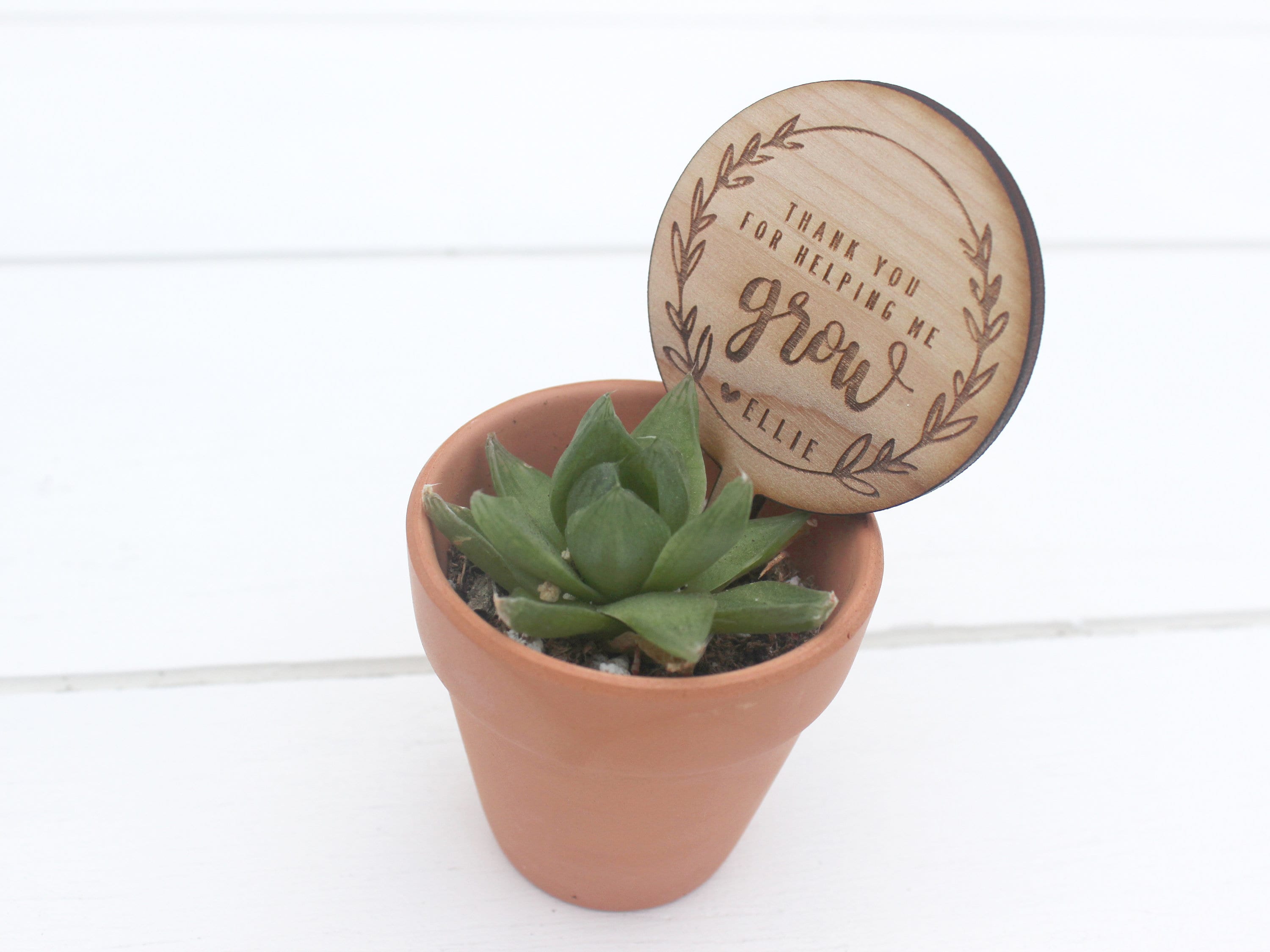 Succulent Tags Custom Teacher Gift Succulent Sticks Plant Favors End of ...