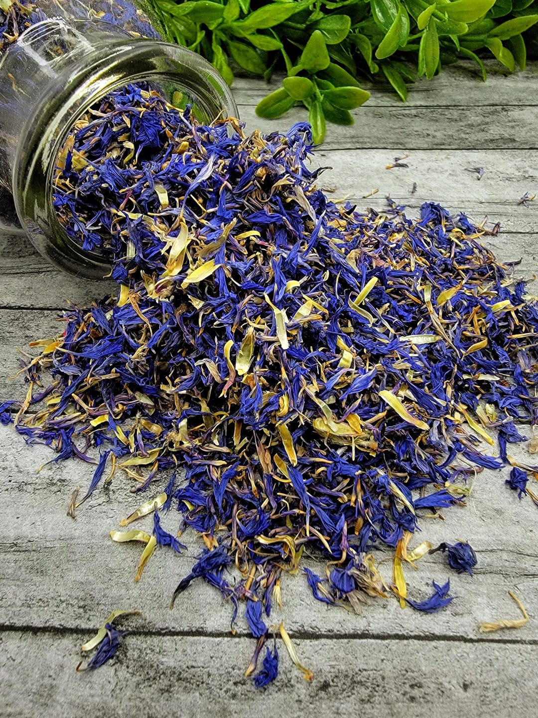 Blue Cornflower Petals | Bulk Herbs | Loose Herbs| Flowers| Roots ...