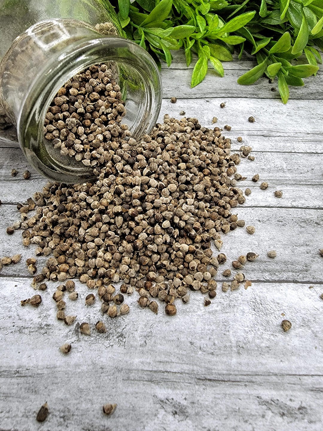 Chaste Berry | Bulk Herbs | Loose Herbs| Flowers| Roots| Assorted Herbs ...