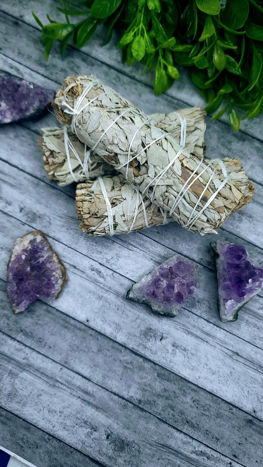 White Sage Bundle | Sage Stick | Smudging Sticks | White Sage Sticks ...