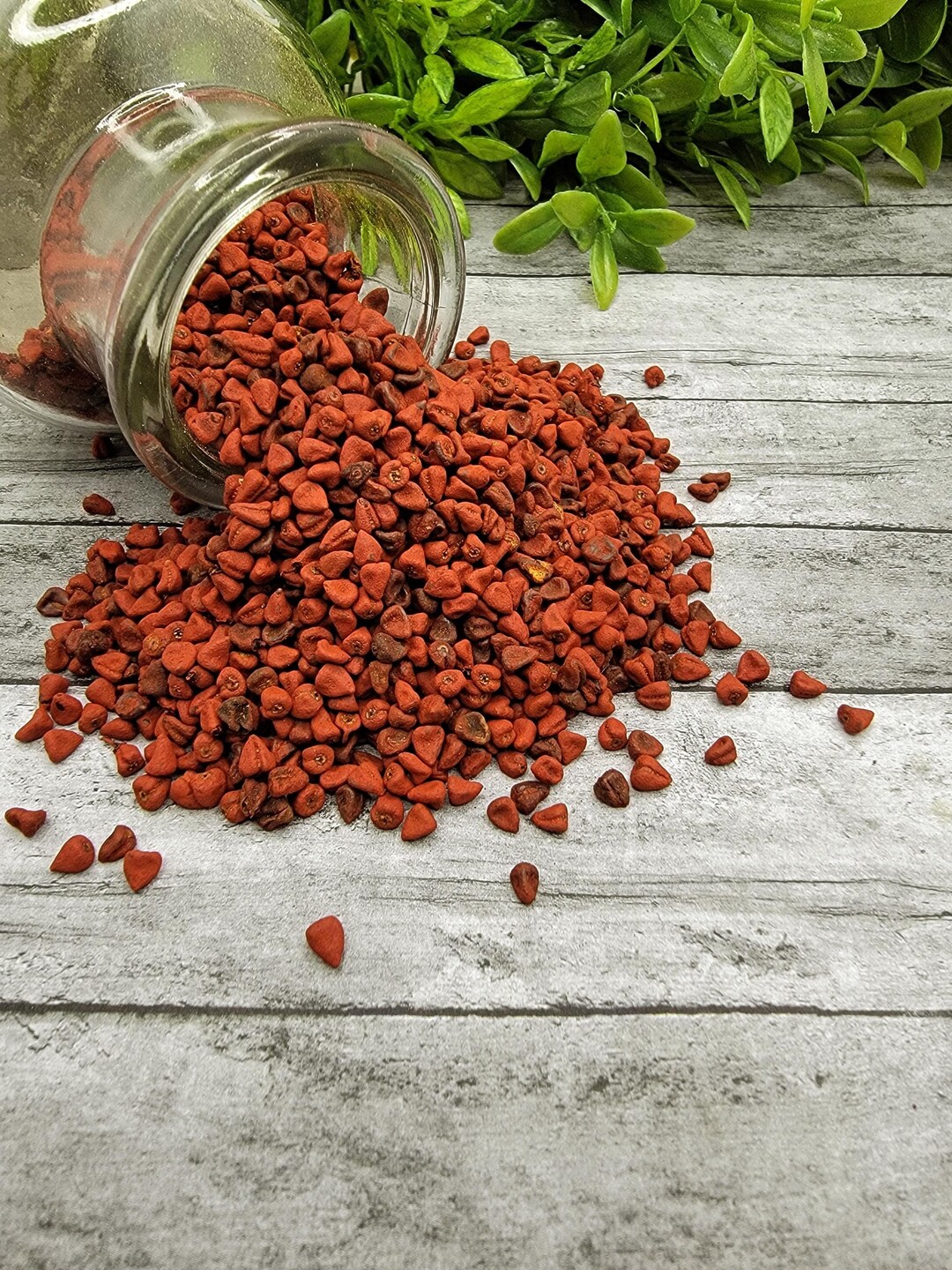 Annatto Seed | Bulk Dried Herbs, Witches Tea Herbs - Etsy