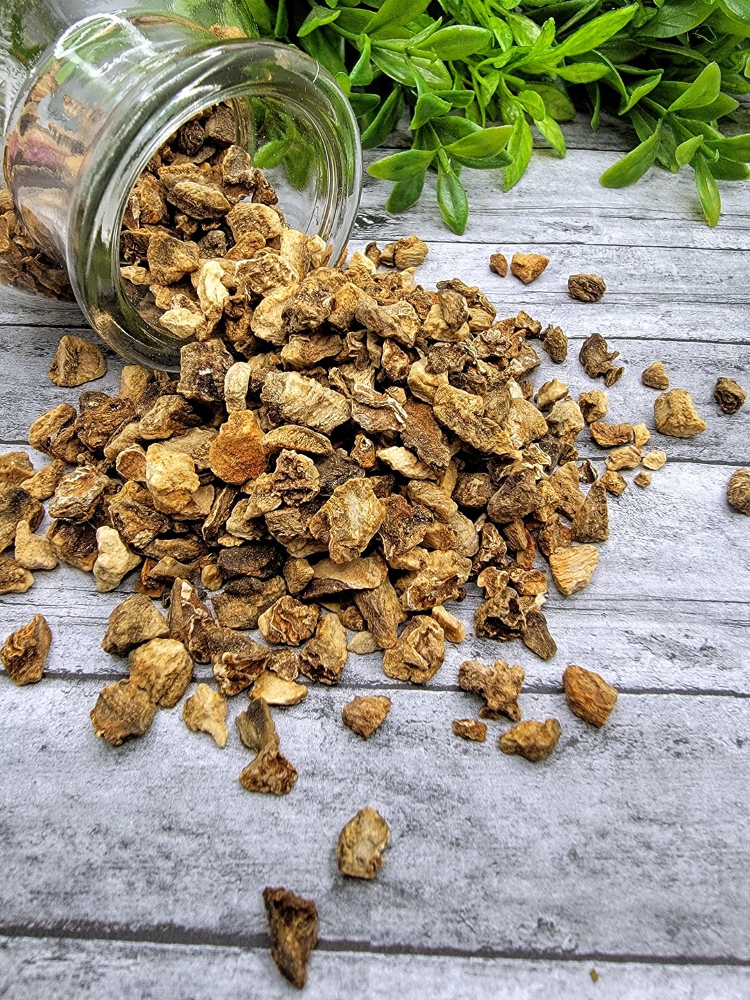 Devil's Claw | Bulk Herbs | Loose Herbs| Flowers| Roots| Assorted Herbs ...