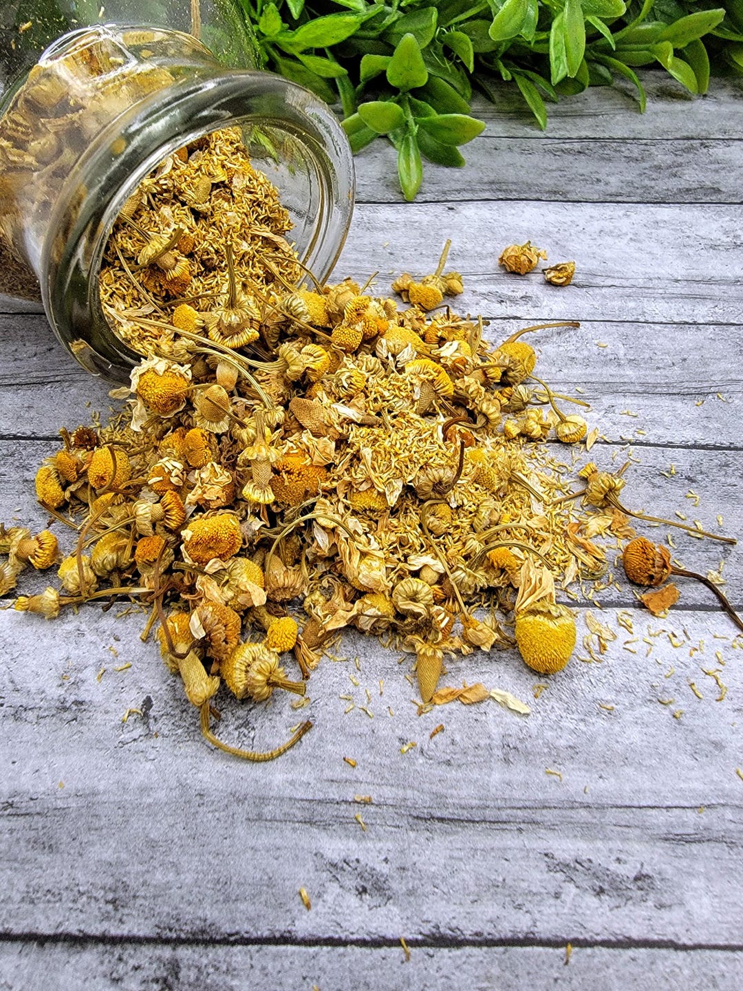 Chamomile | Bulk Herbs | Loose Herbs| Flowers| Roots| Assorted Herbs ...