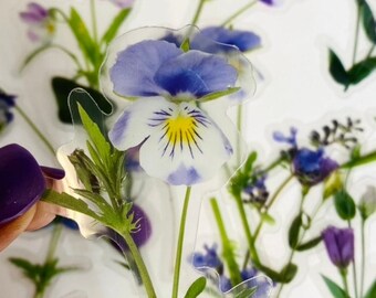 Purple Violet Stickers - Etsy